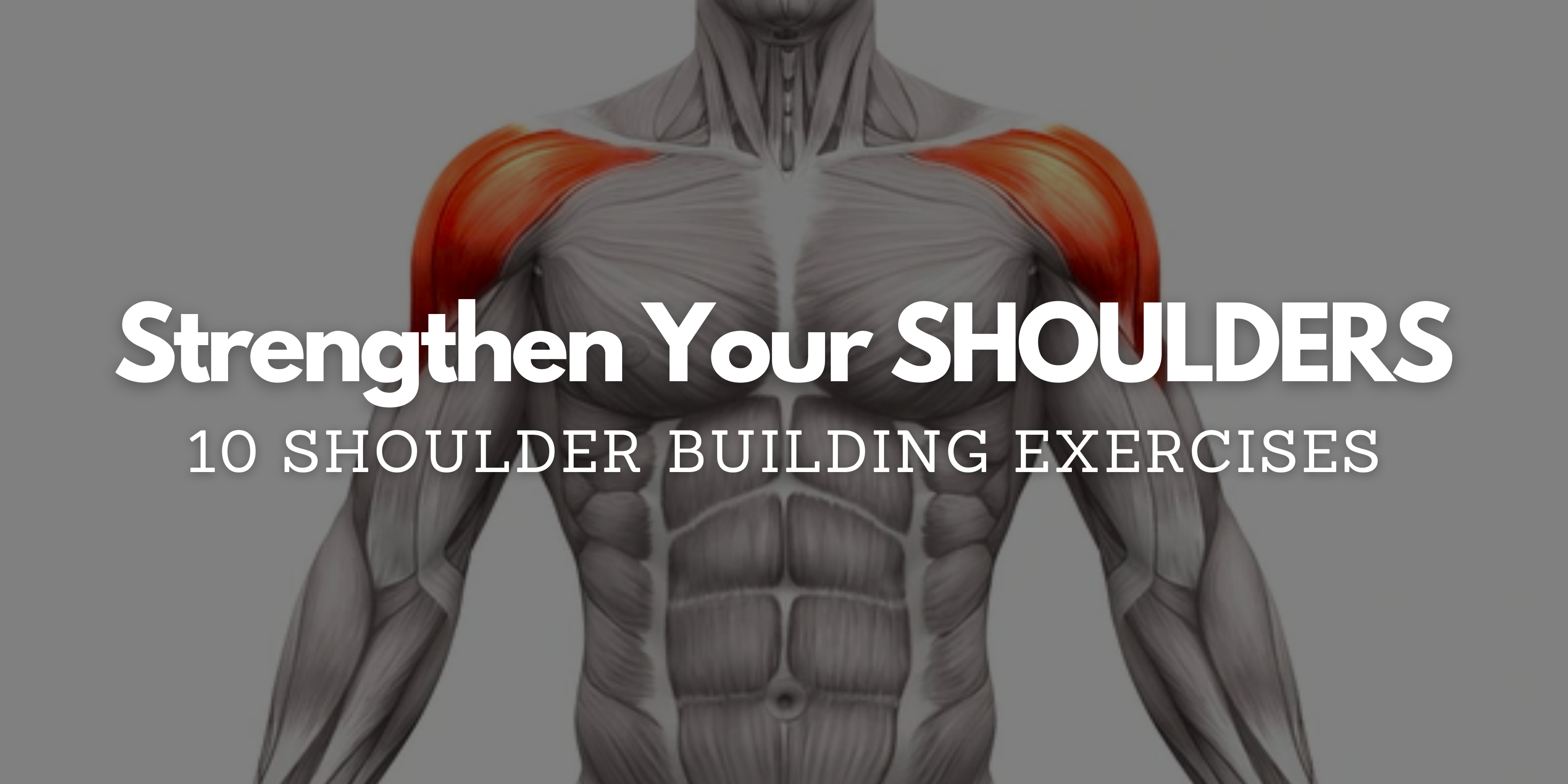 20 Best Shoulder Exercises for Strength & Muscle Growth – World Fitness