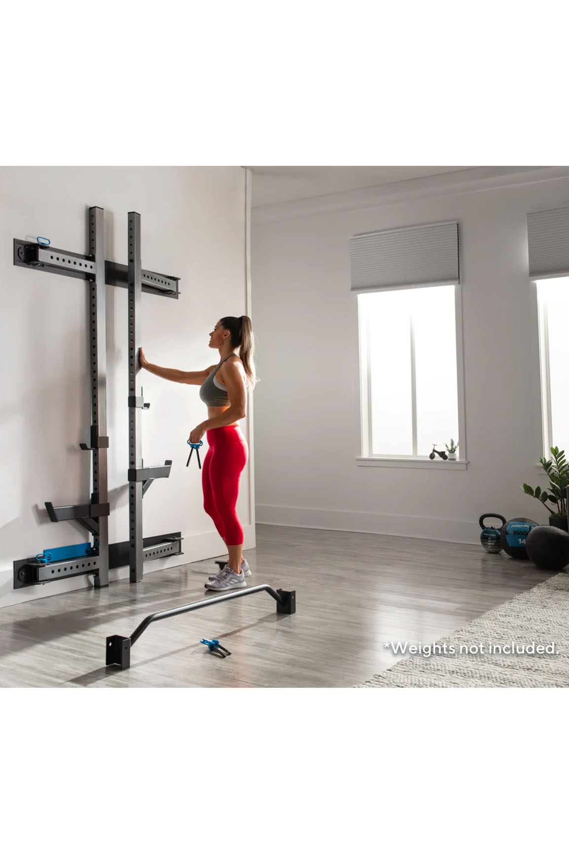 ProForm Foldable Wall Squat Rack Package V6 – World Fitness
